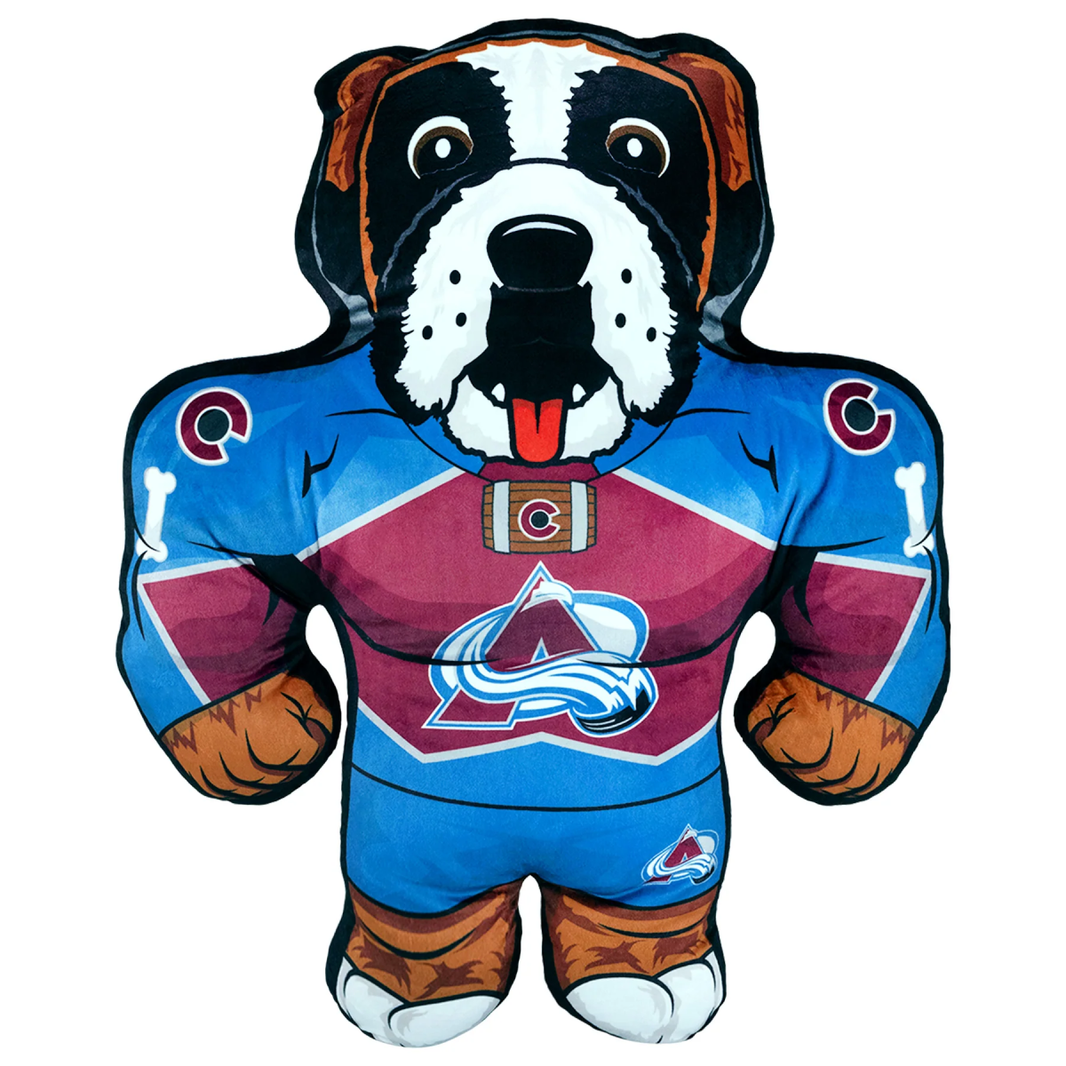 Official Bernie Merch – Altitude Authentics